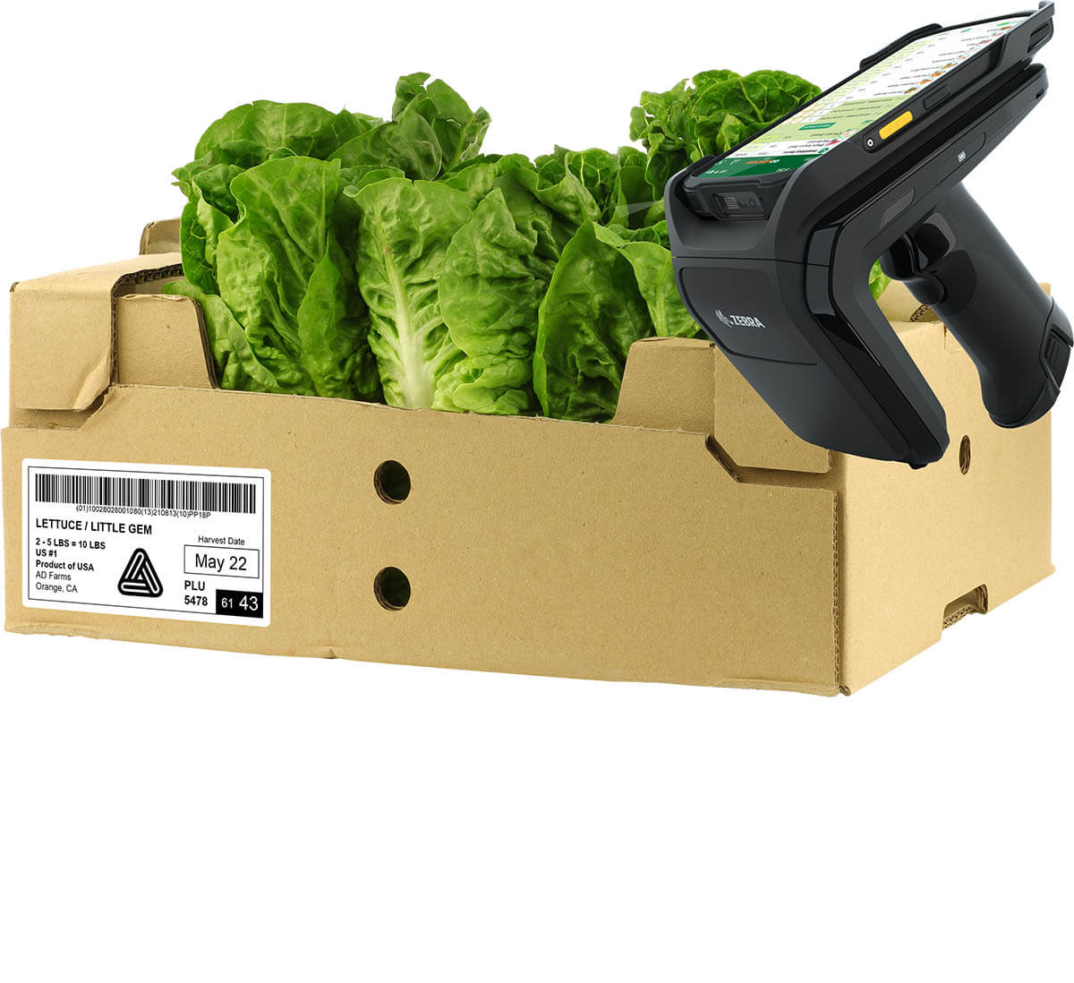 AD Inventory | Avery Dennison